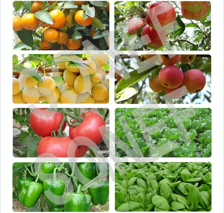 Compound Fertilizer 20-20-10 NPK Crystal Powder 100% Water Soluble ...